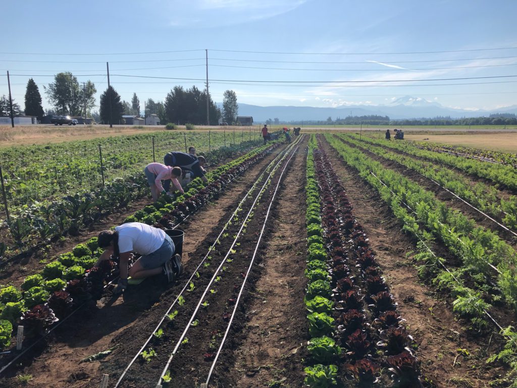 Agape Service Project - Archdiocese of Seattle